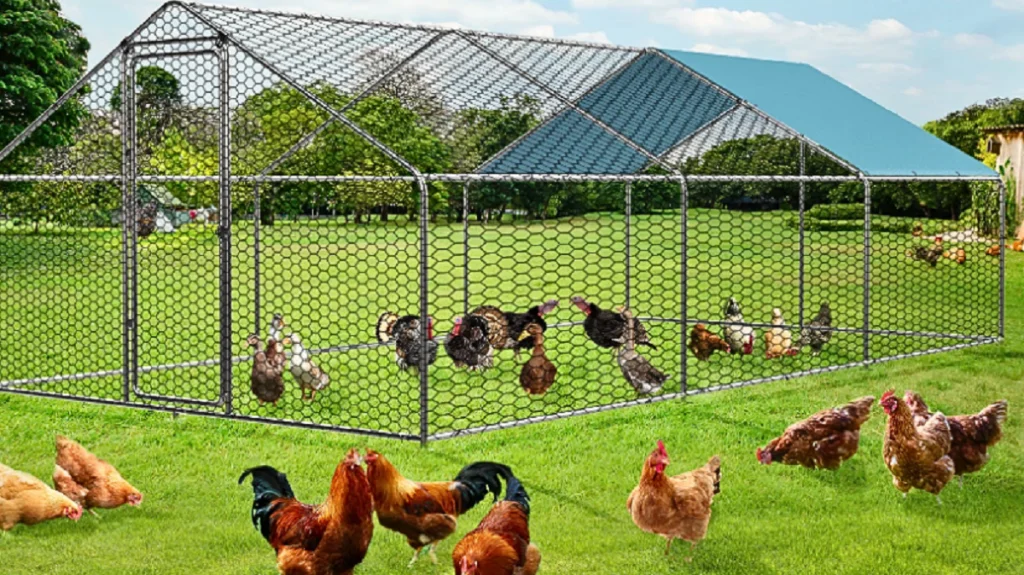 Decorate Your Chicken Coop: VEVOR's Pro Design Guide - VEVOR Blog