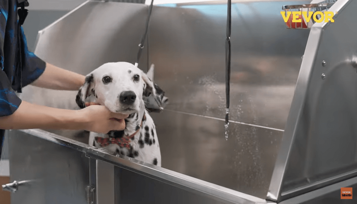 VEVOR Pet Grooming Bath Tub - Just For Your Dog's Care - VEVOR Blog