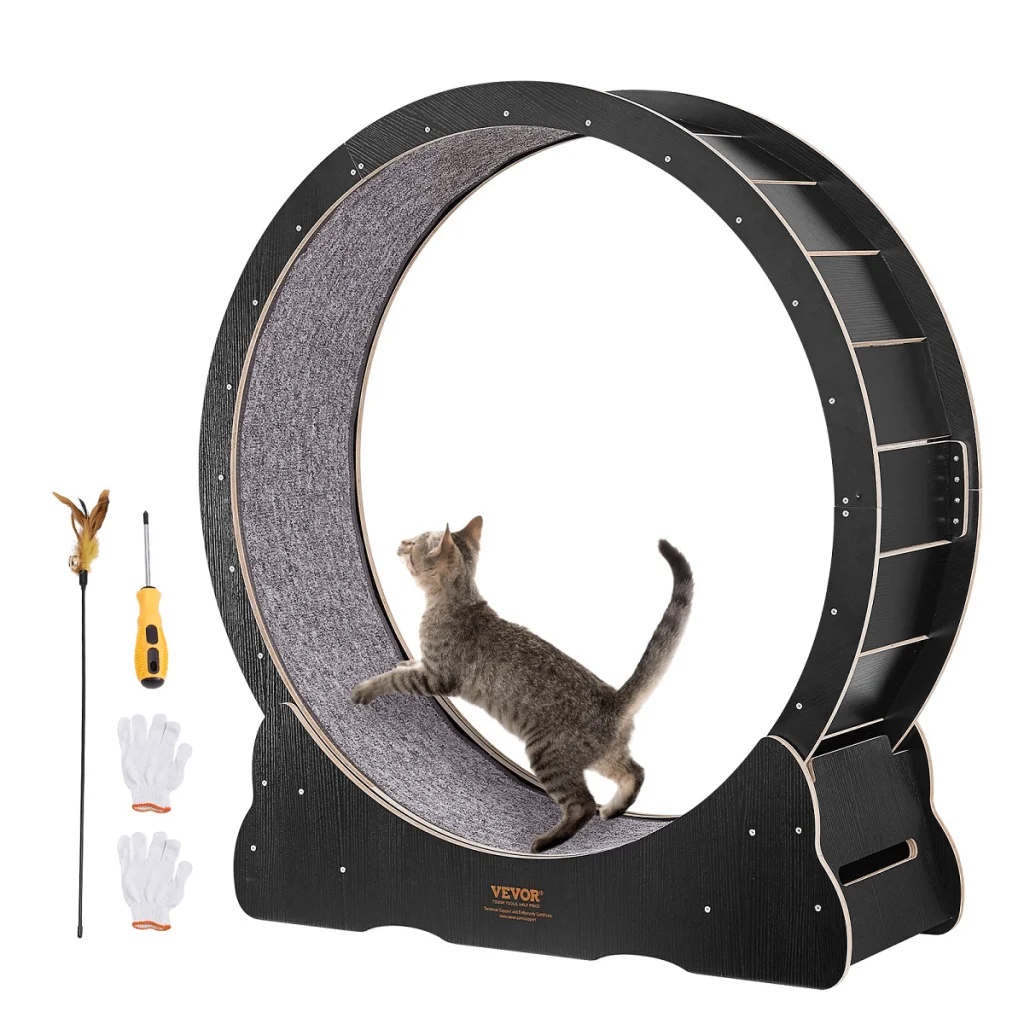 VEVOR Cat Wheel Reviews: Why Cat Owners Love It - VEVOR Blog