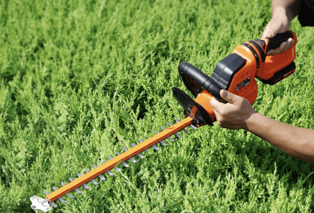 How to Choose the Best Hedge Trimmer for Your Garden - VEVOR Blog