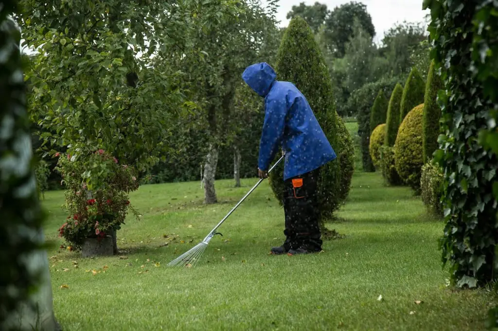 What Does a Lawn Sweep Do? - VEVOR Blog
