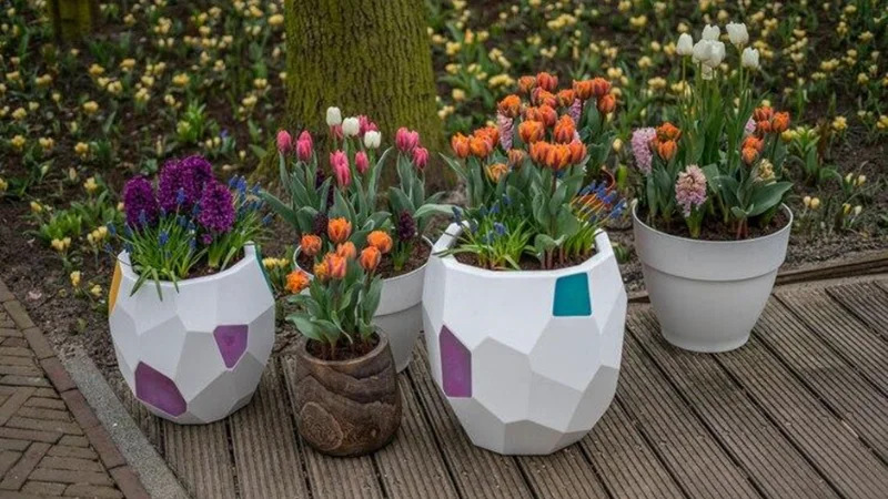 25 Elegant Flower Garden Ideas to Inspire Your Outdoor Space