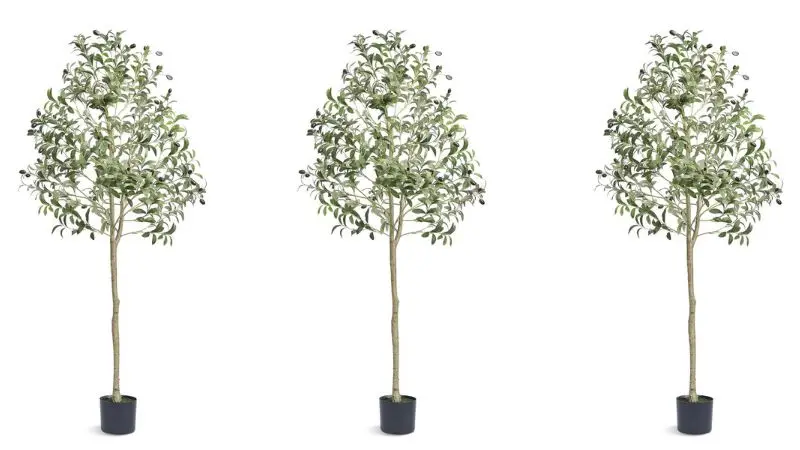 Most Realistic Artificial Outdoor Plants for Your Garden