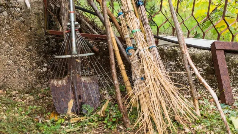 A Complete Spring Yard Clean-Up Checklist for 2025