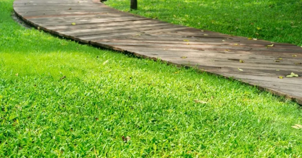 keep grass out of garden beds Archives - VEVOR Blog