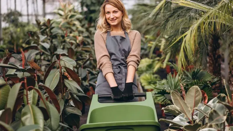 DIY Lawn Sweeper: Build Your Own Yard Cleaner Step-by-Step