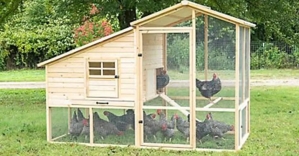 Chicken Coop For Beginners Archives - VEVOR Blog