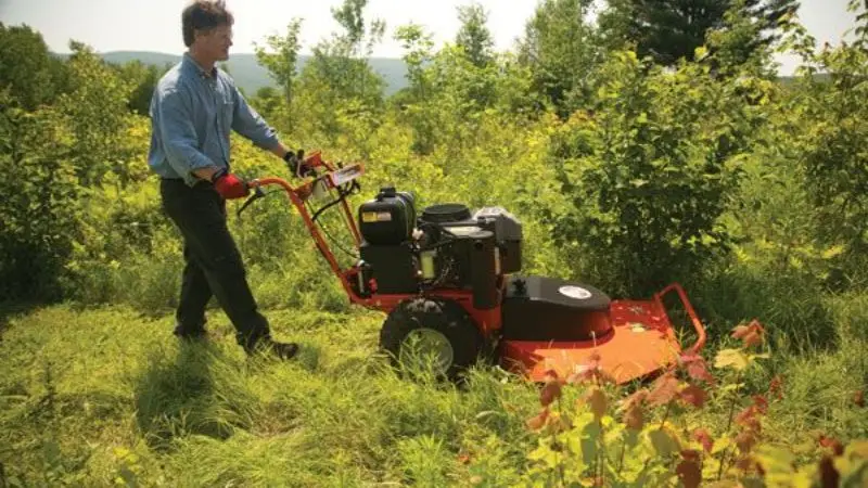 Overgrown Yard Cleanup: A Guide to a Beautiful Lawn
