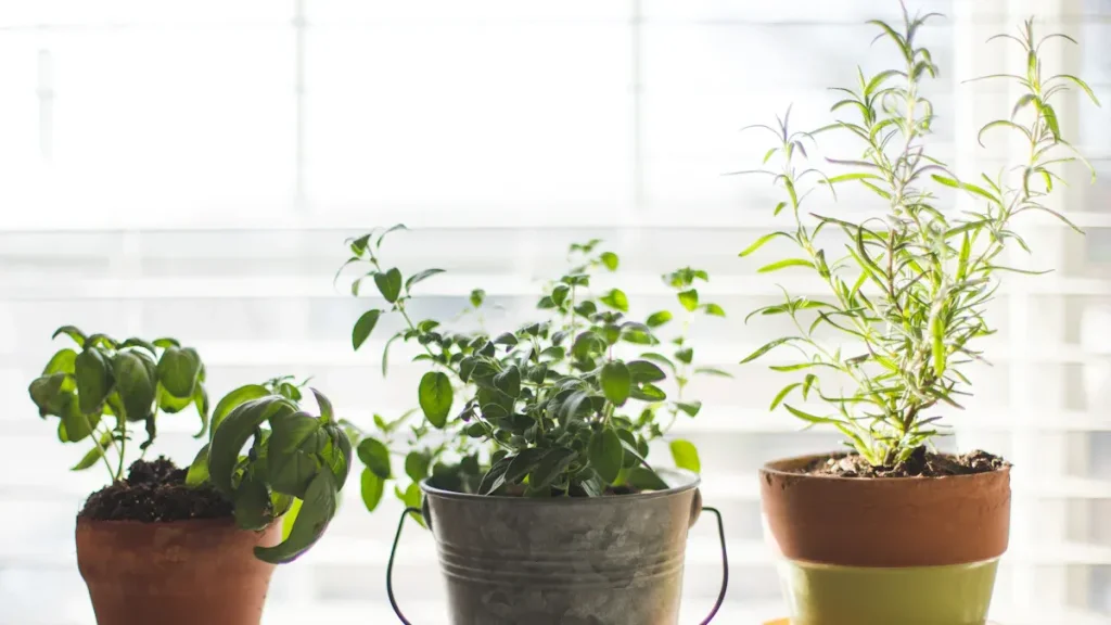 What is Container Gardening? Beginner's Guide - VEVOR Blog
