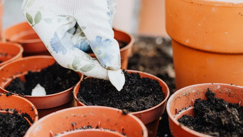 What is Container Gardening? Beginner's Guide - VEVOR Blog