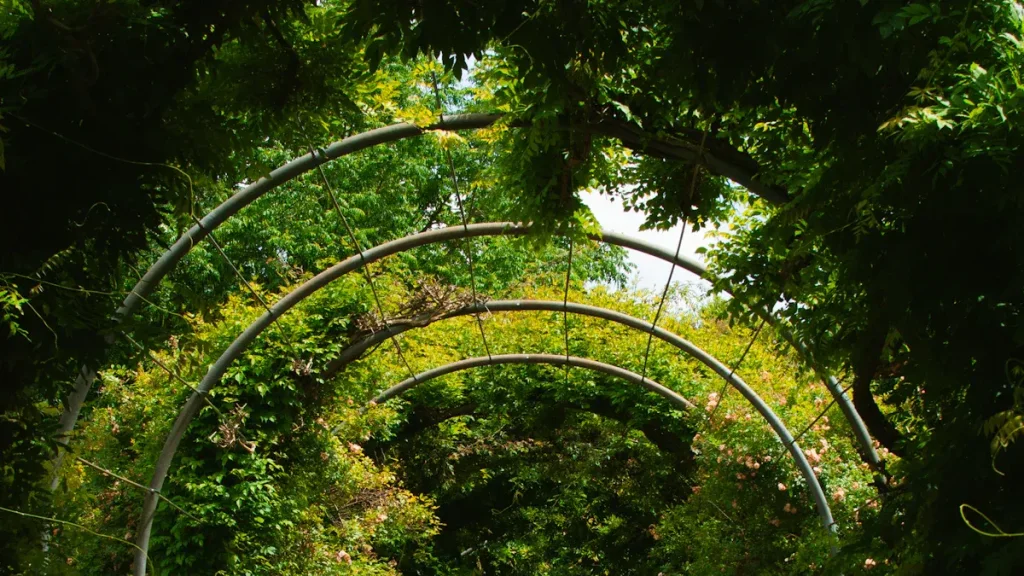 How To Build A DIY Garden Arch In Easy Steps - VEVOR Blog