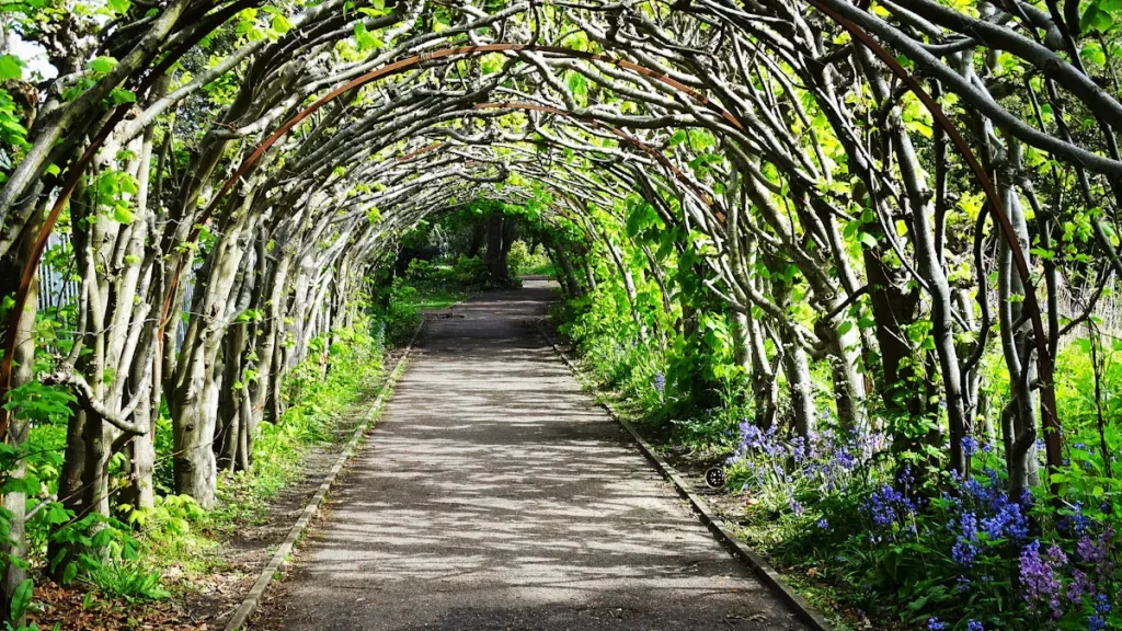 How To Build A DIY Garden Arch In Easy Steps - VEVOR Blog