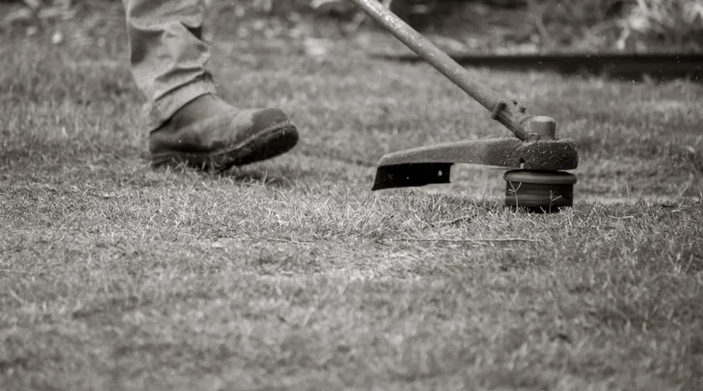 How to Edge Your Lawn Like a Landscaping Expert - VEVOR Blog