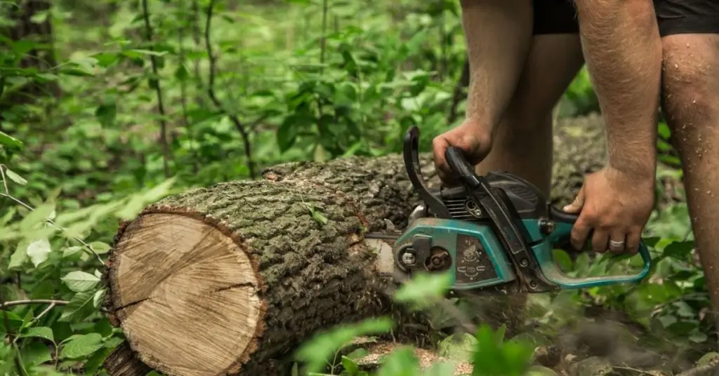 How to Operate a Chainsaw Properly | Safety & Maintenance