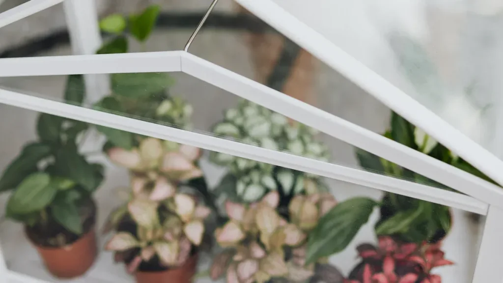 diy greenhouse box Archives - VEVOR Blog