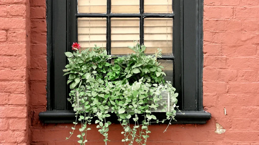 How to Build a Window Box That Lasts in 6 Simple Steps - VEVOR Blog