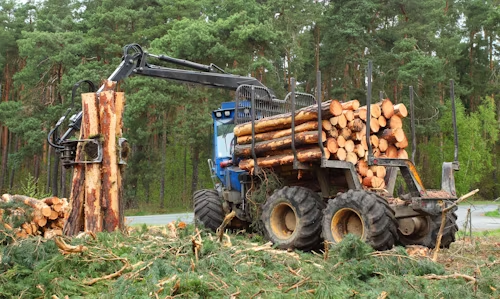 How to Move Logs Safely and Efficiently - VEVOR Blog
