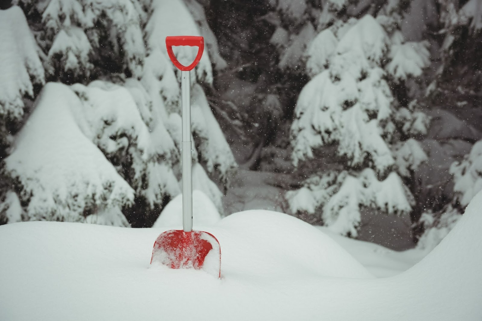 How to Clear Snow From Driveway When the Storm Hits
