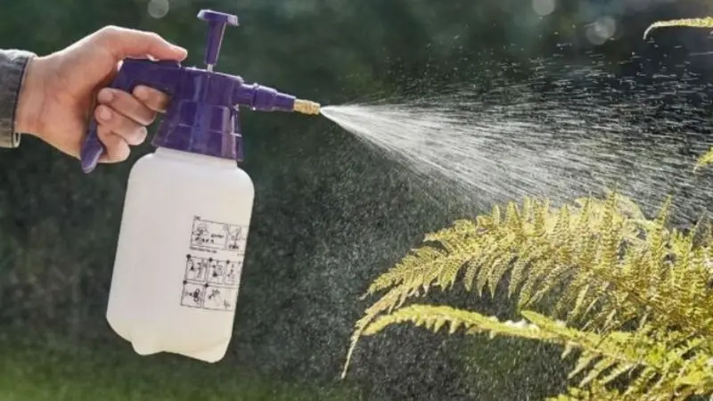 Garden Insect Spray Explained – What to Use & When to Apply