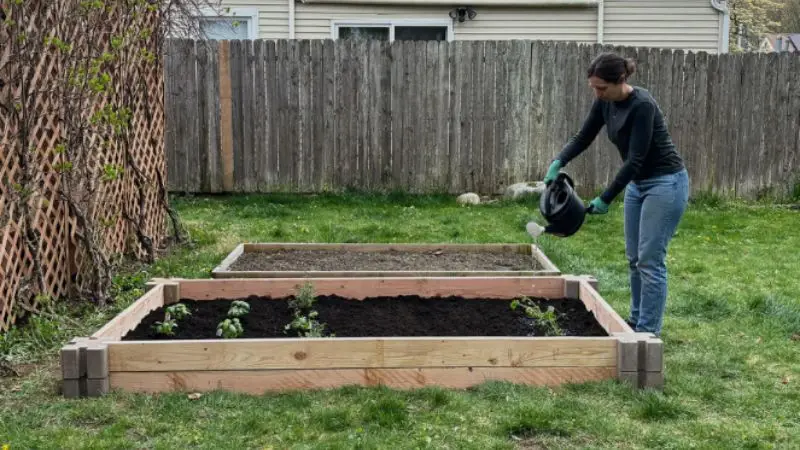 Easy Step-by-Step Guide on Building Raised Garden Beds