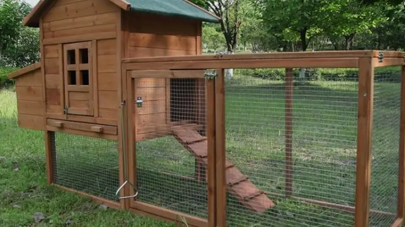 Best Chicken Coop Kits: How to Choose the Right One