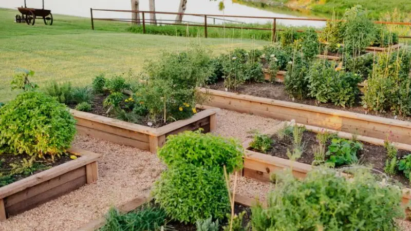 Cheap Raised Garden Bed Ideas for DIY Vegetable Gardens