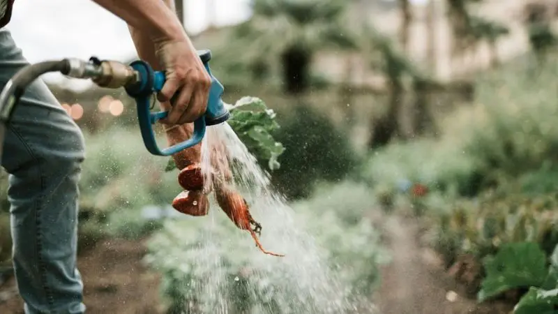 Water Hose Reel Parts: Repair, Replacement, and Buying Tips