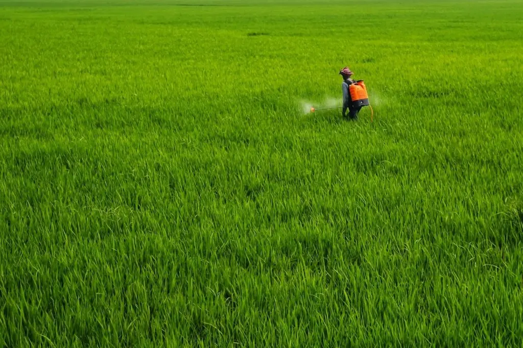 Pesticide vs Insecticide: The Difference Most People Don’t Know
