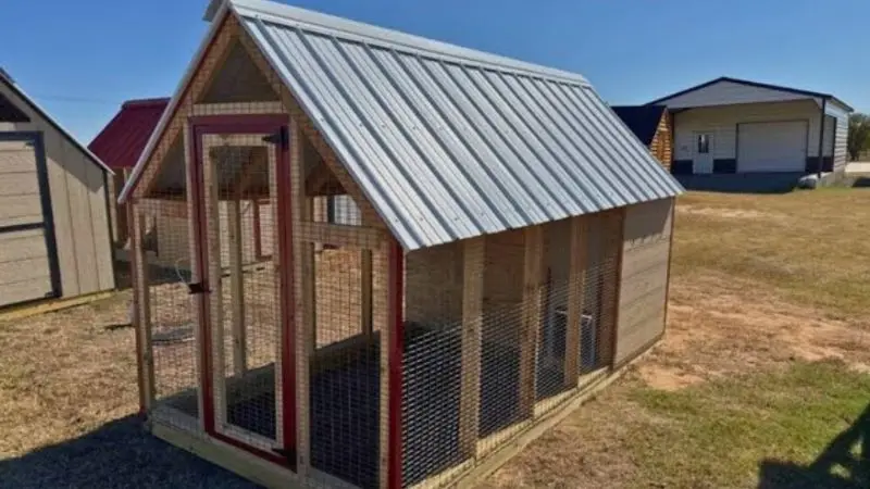 Metal Roofing for Chicken Coop Guide | Types & Installation