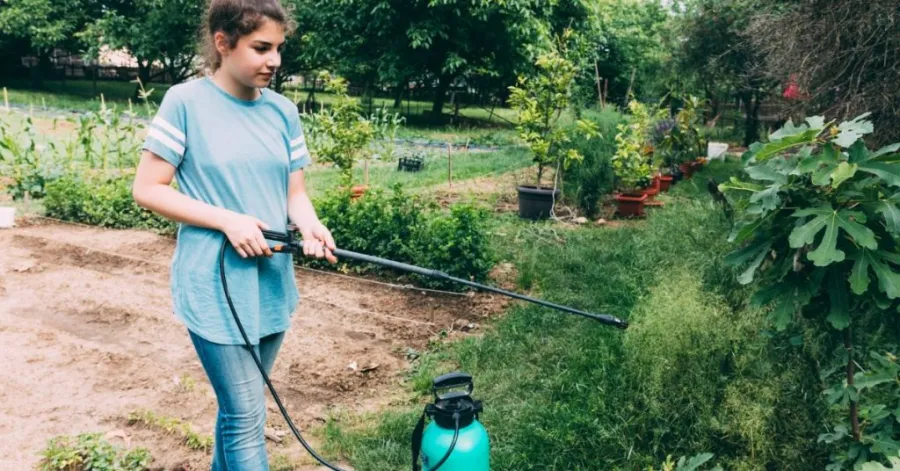 Battery-Powered Garden Sprayer — Safety Tips for Lawn Care