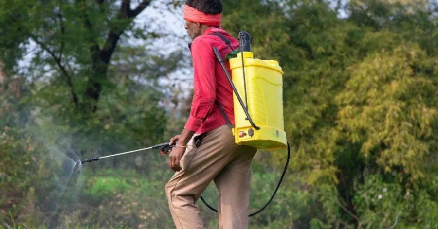 Battery-Operated Sprayer — Fast & Easy Spraying Solution