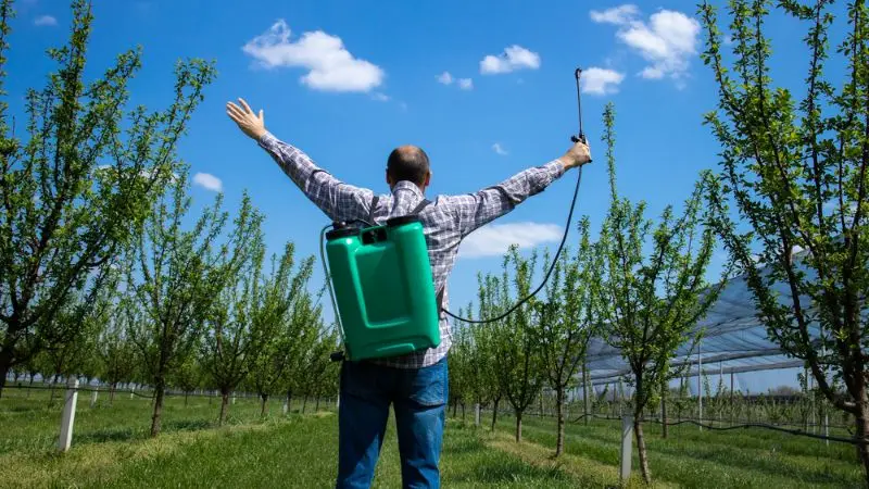 Battery-Operated Sprayer — Fast & Easy Spraying Solution