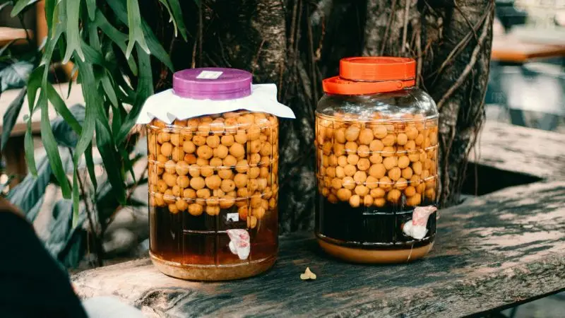 Food Preservation Methods: Simple Guide to Safe Storage