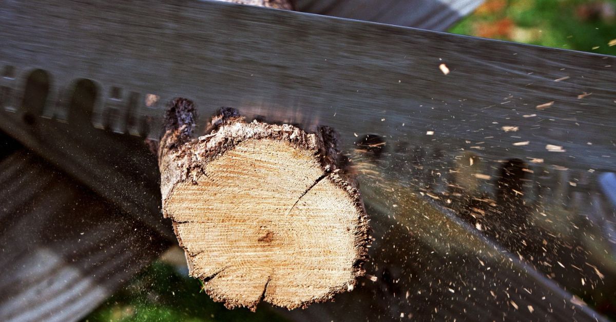 Some Essential Tips on How to Clean a Chainsaw Blade