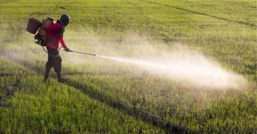 Foliar Spray Herbicide — with 16L Battery Backpack Sprayer