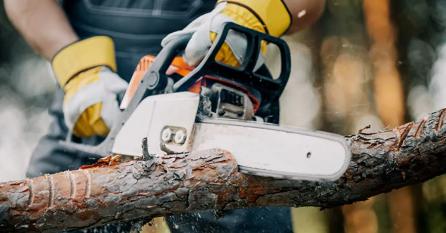 Chainsaw for Cutting Trees — with Powerful Gas Engine